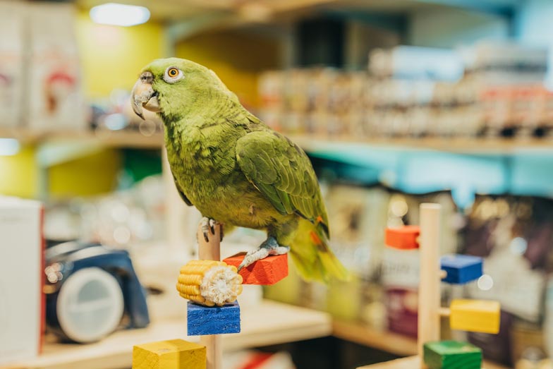 ZoOMania | Bagatelle Mall